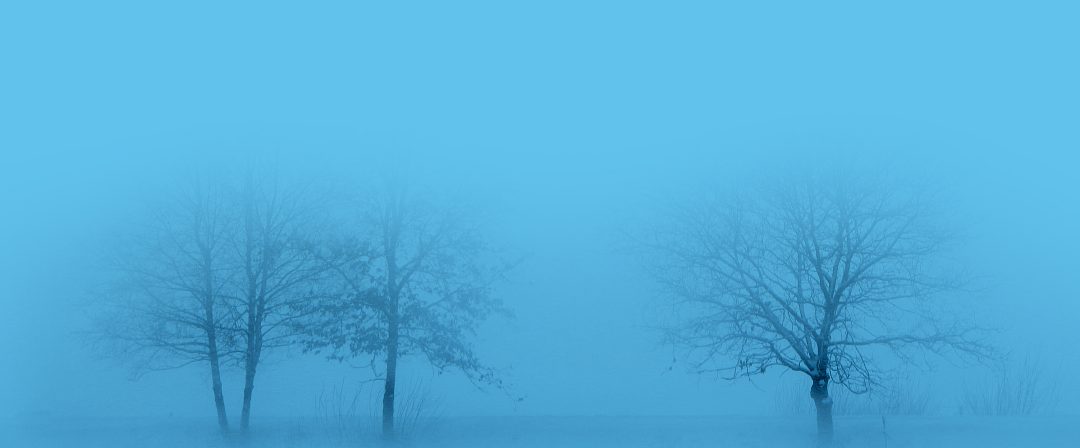 TREES IN MISTY CYAN - The Fellowship of St John Trust Association